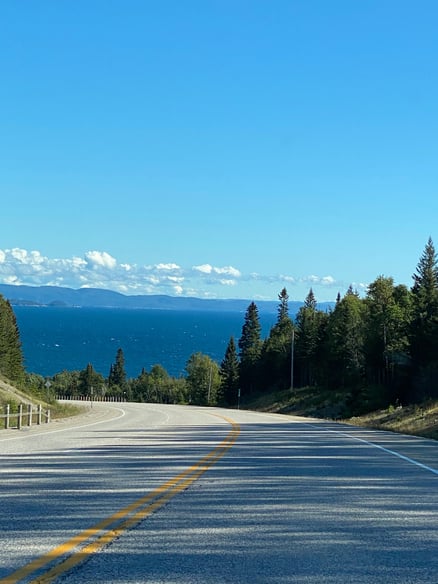 SEL with ALM: The Remarkable Journey of Coyote Sunrise by Dan Gemeinhart